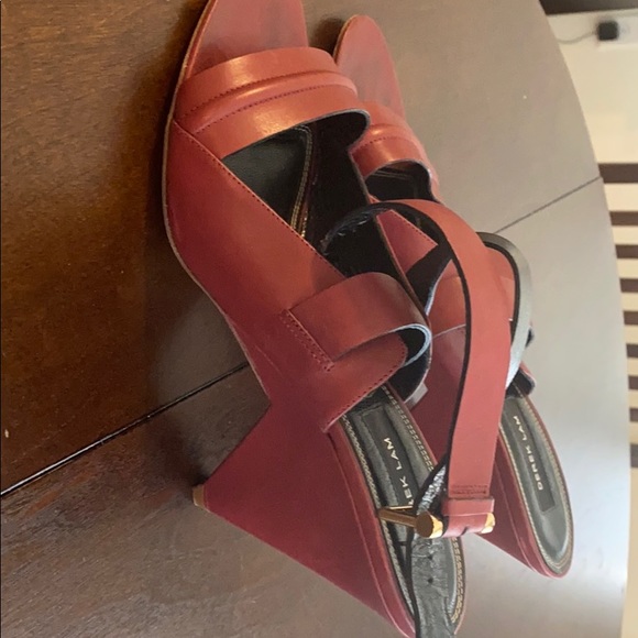 Derek Lam | Shoes | Derek Lam Cranberry Triangle Block Heels | Poshmark
